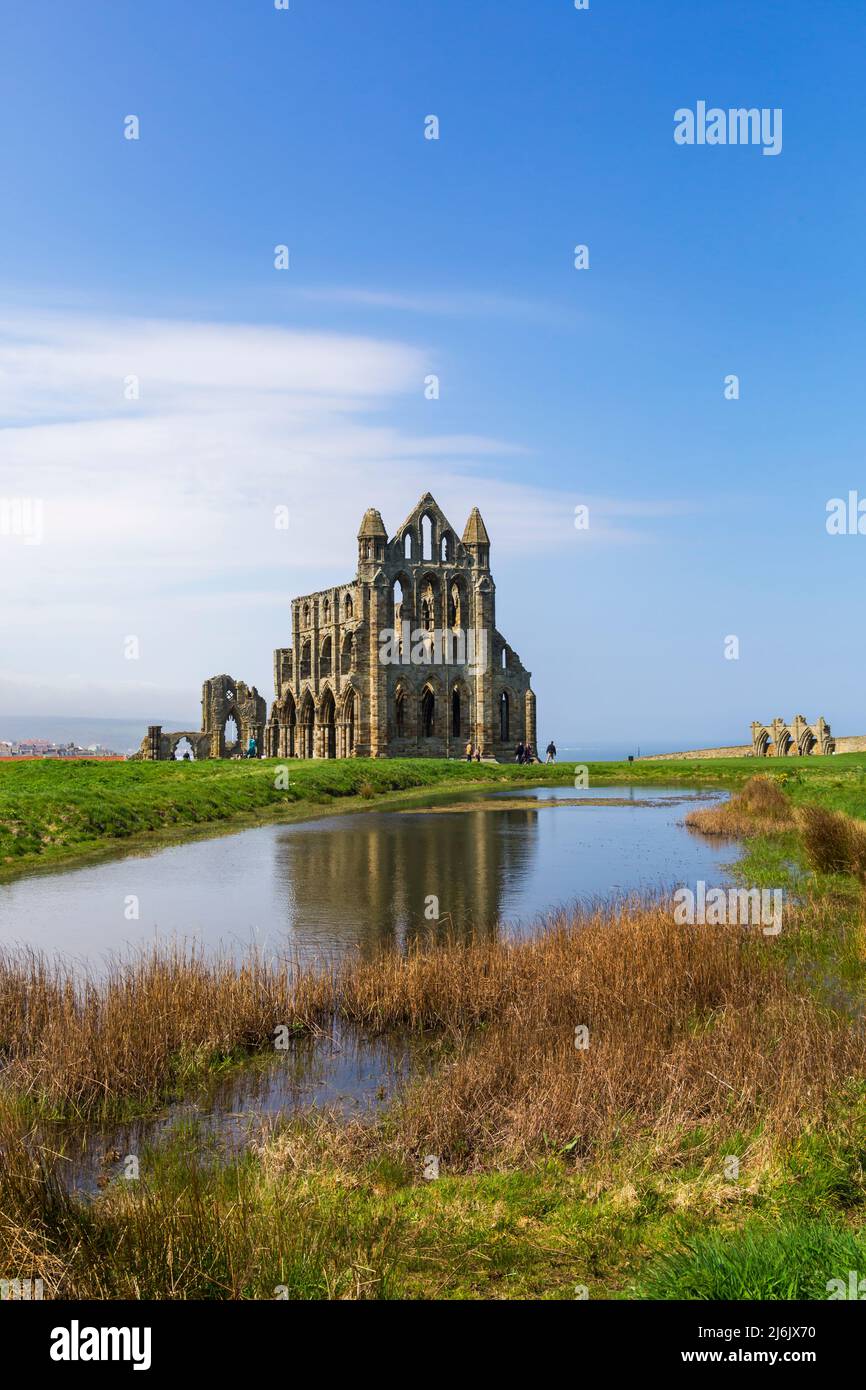 Whitby Abbey with reflection in lake at Whitby, Yorkshire, UK in April ...