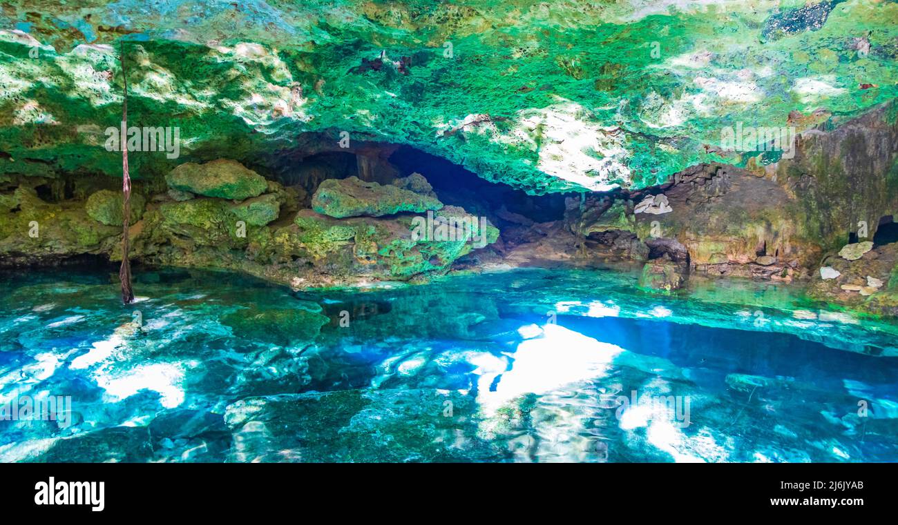 Amazing blue turquoise water and limestone cave sinkhole cenote Tajma ...