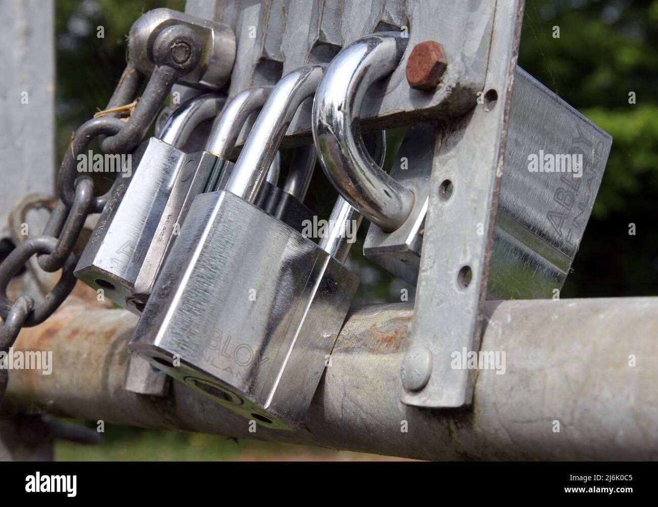 multiple padlocks on gate Stock Photo - Alamy