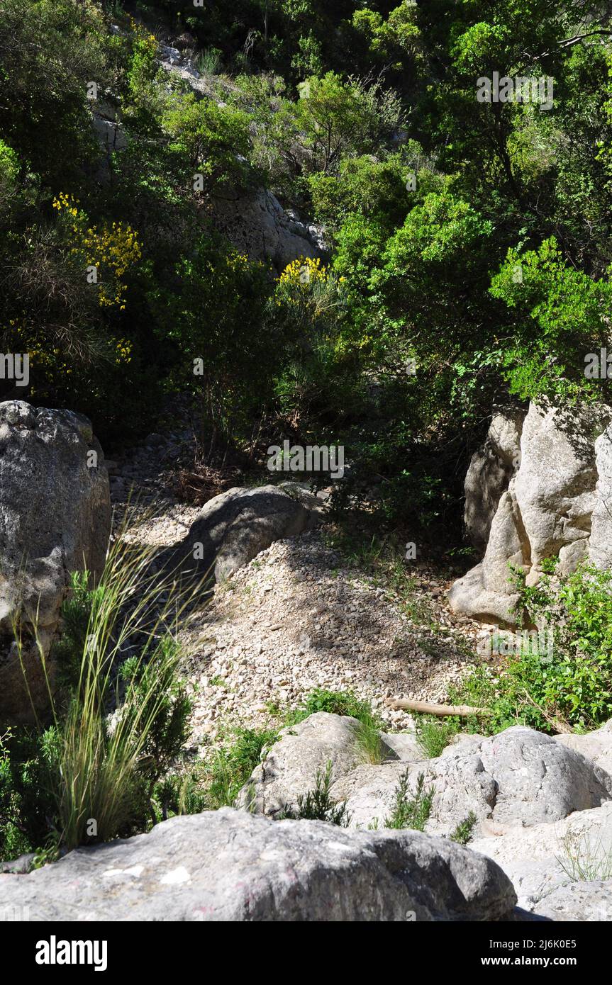 Gorges du Destel stream which can be torrential in heavy rains Stock ...