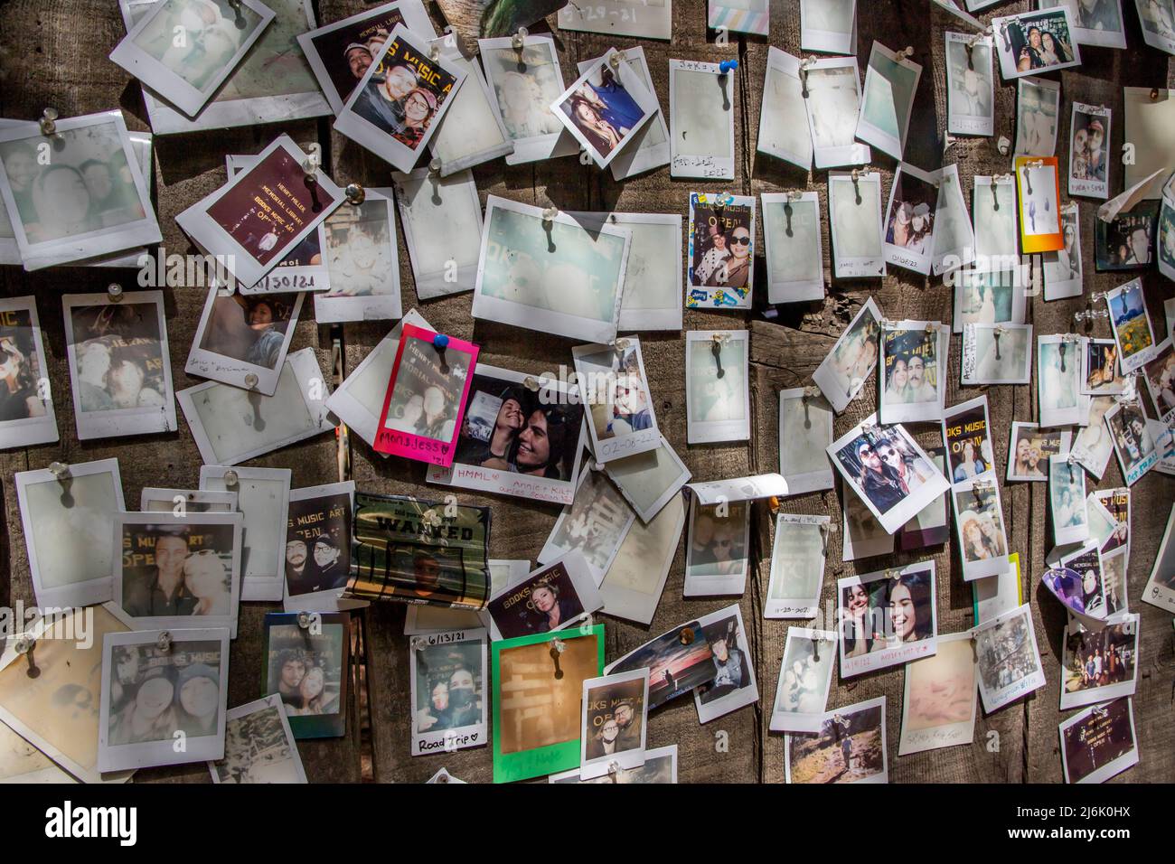 Instant images of people at the Henry Miller Memorial Library posted on ...