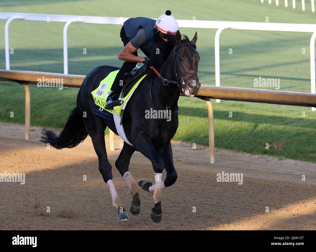 Zandon horse hi-res stock photography and images - Alamy