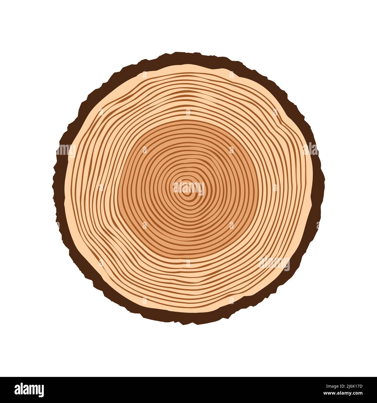 Round tree trunk cut, sawn pine or oak slice. Saw cut timber, wood ...