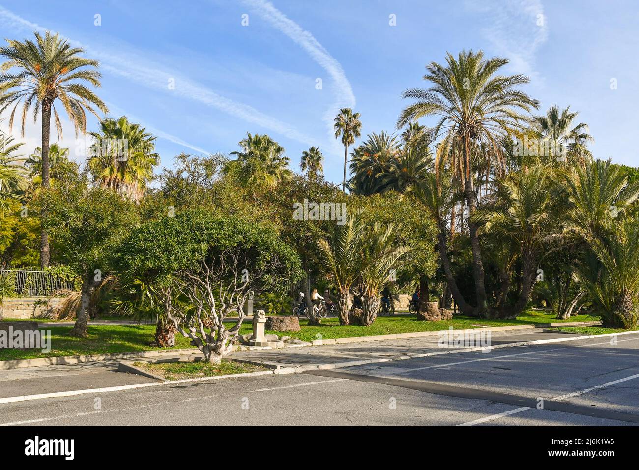 Life cycle of trees hi-res stock photography and images - Alamy