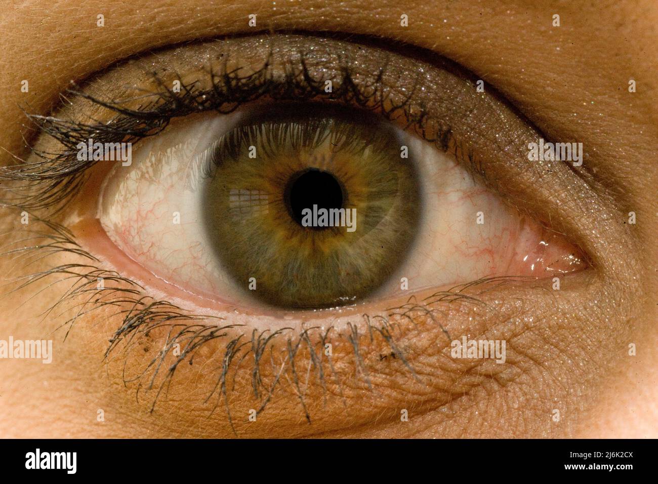 Macro photo of a human part of the body ,eye Stock Photo - Alamy