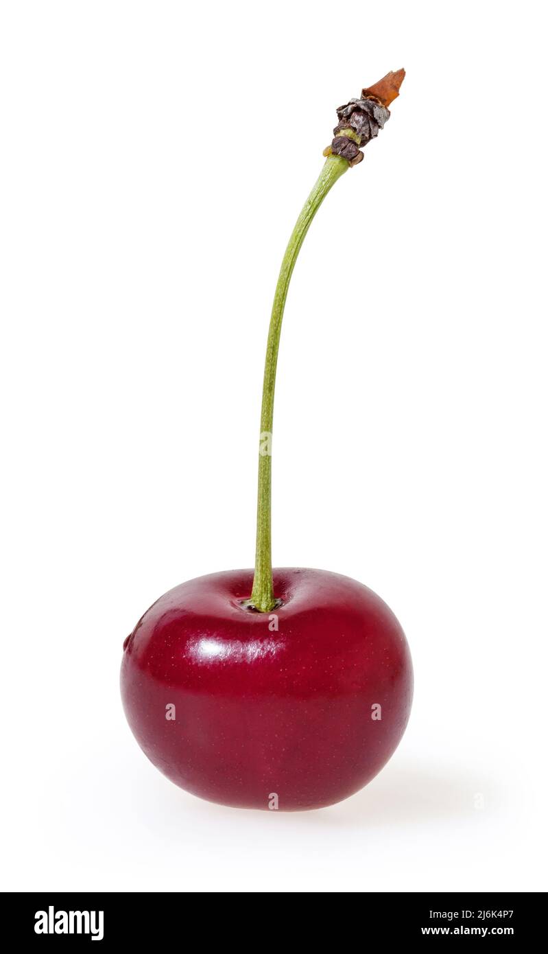 Cherry isolated on white background with clipping path Stock Photo - Alamy