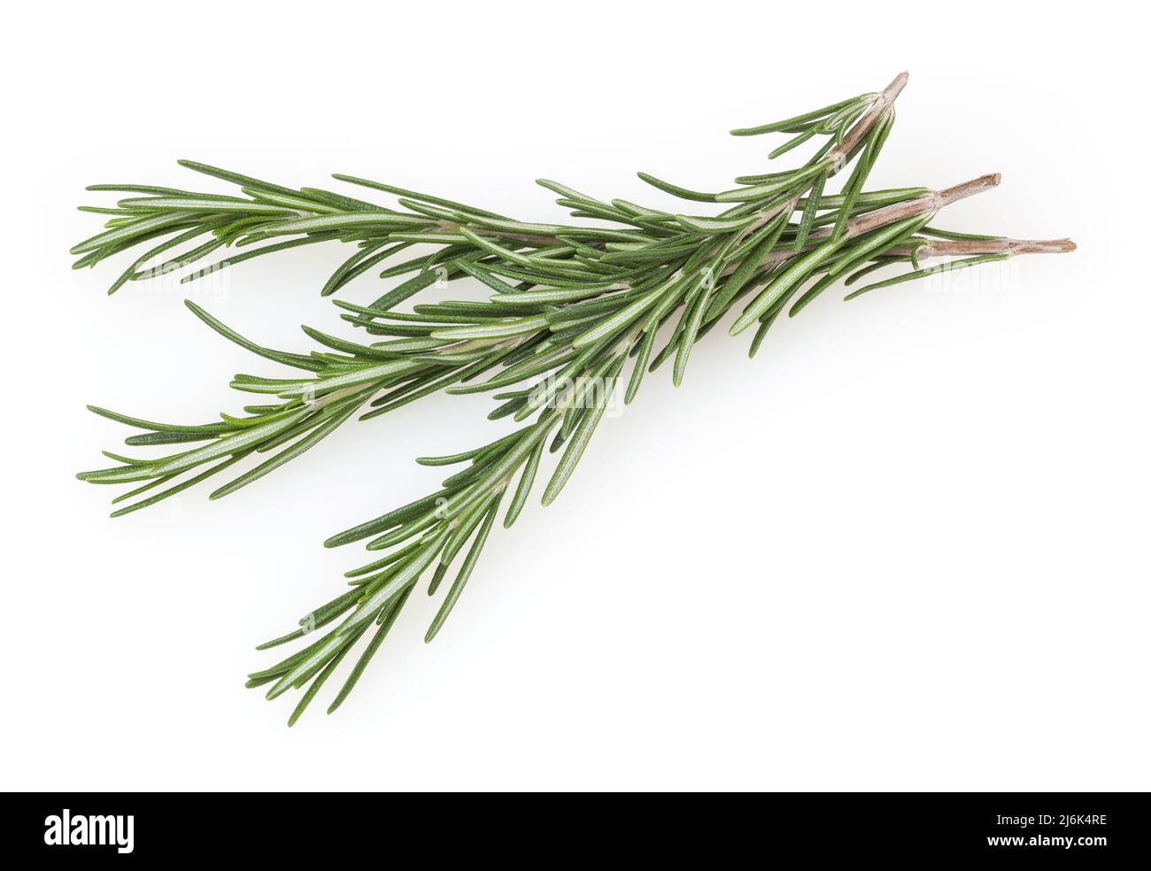 Fresh rosemary isolated on white background Stock Photo - Alamy
