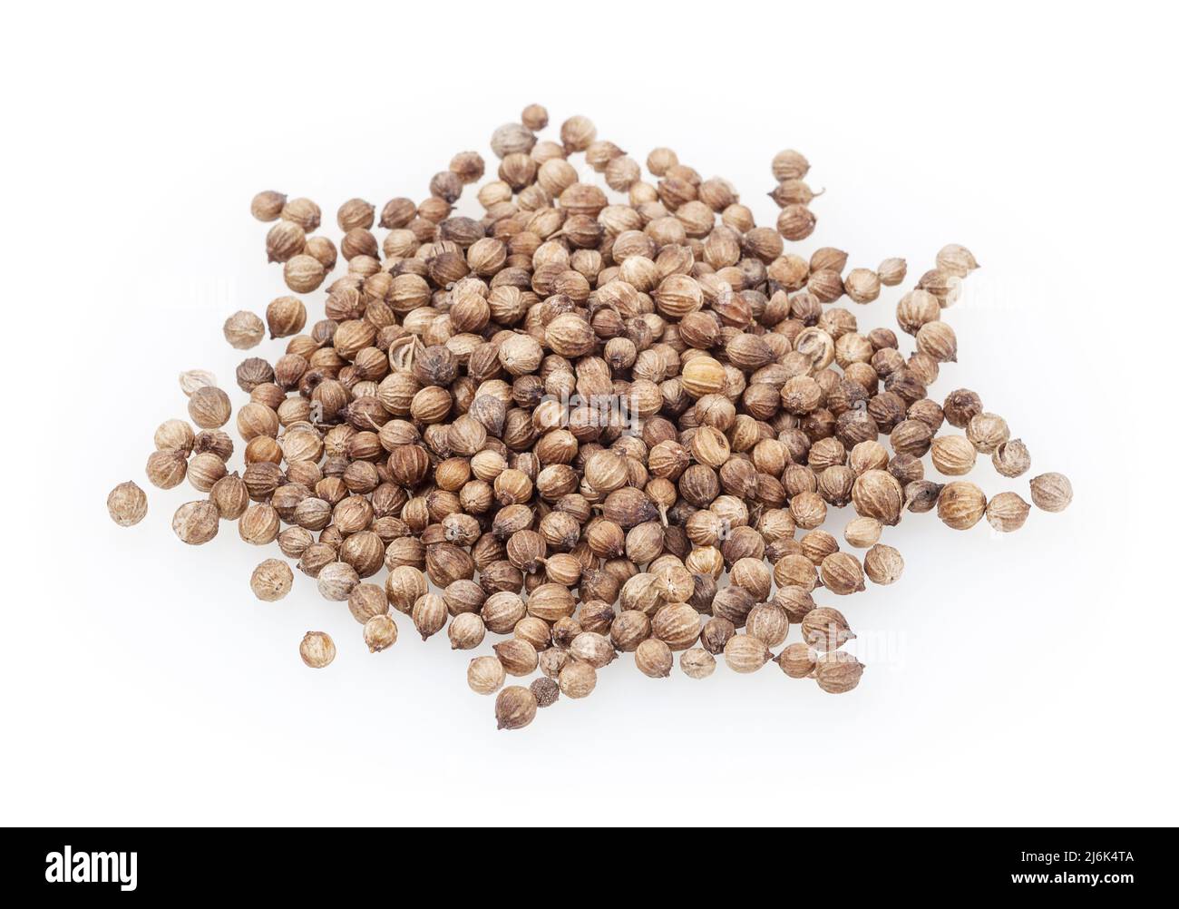 Heap of dried coriander seeds isolated on white background Stock Photo - Alamy