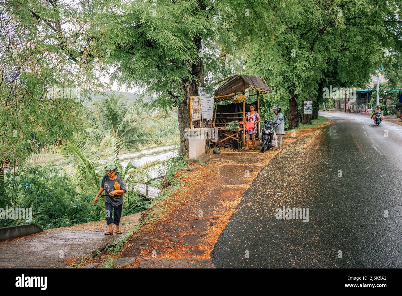 Buleleng regency hi-res stock photography and images - Alamy