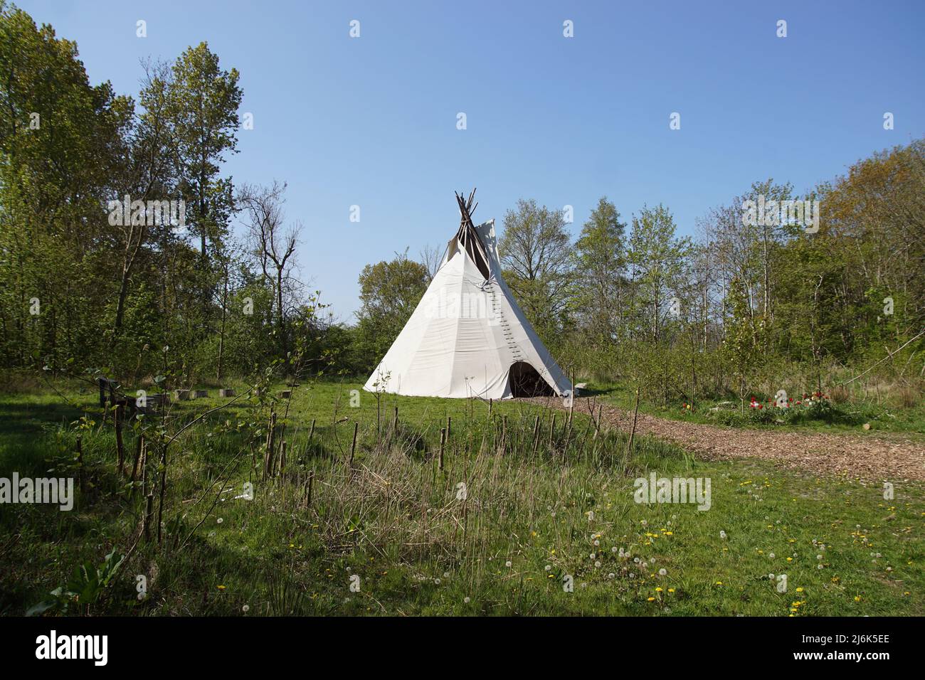 Large white teepee indian tent, wigwam standing on a lawn between the ...