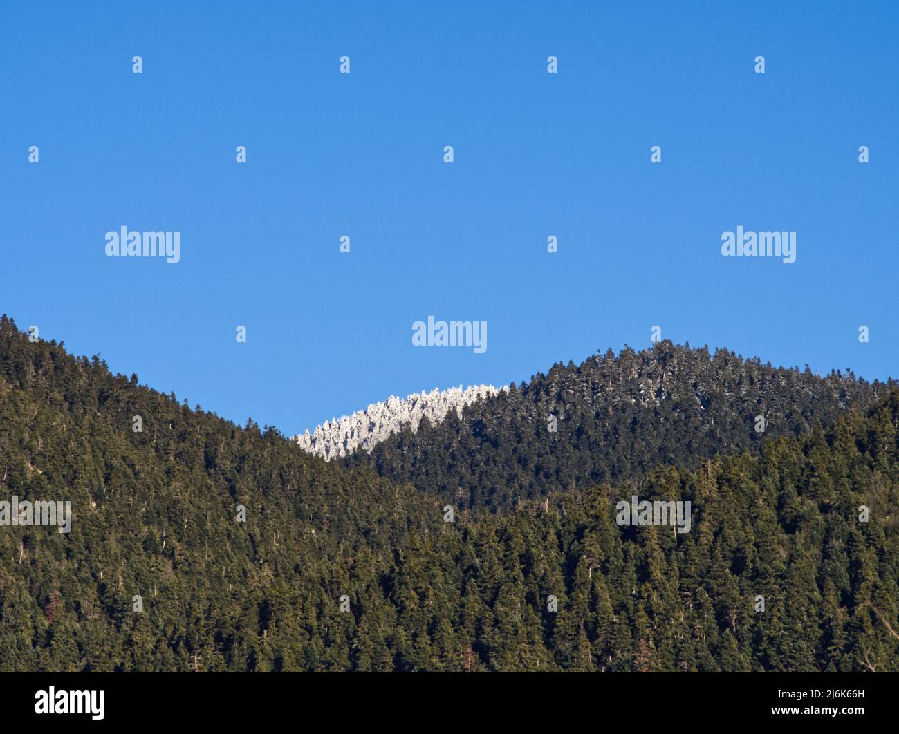 Fir ridge hi-res stock photography and images - Alamy