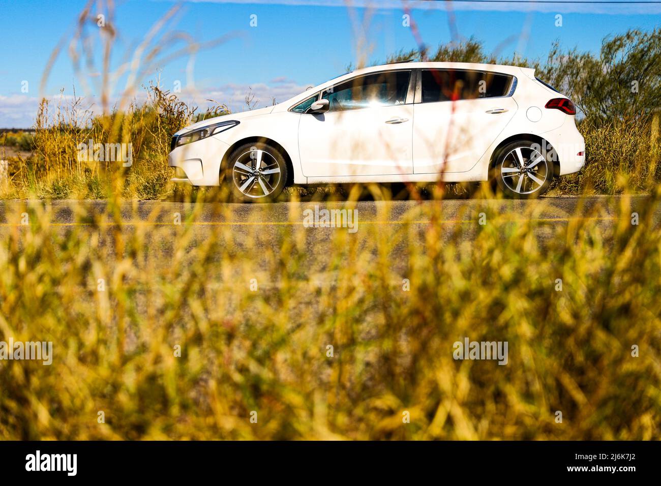Kia and weeds in the desert of the coast of hermosillo, kino in the ...
