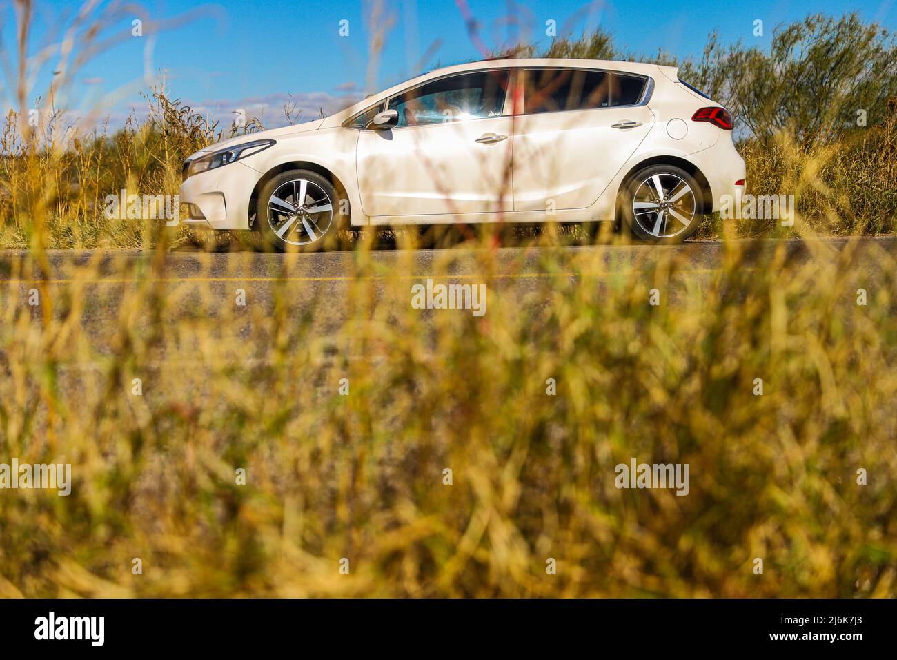 Kia and weeds in the desert of the coast of hermosillo, kino in the ...