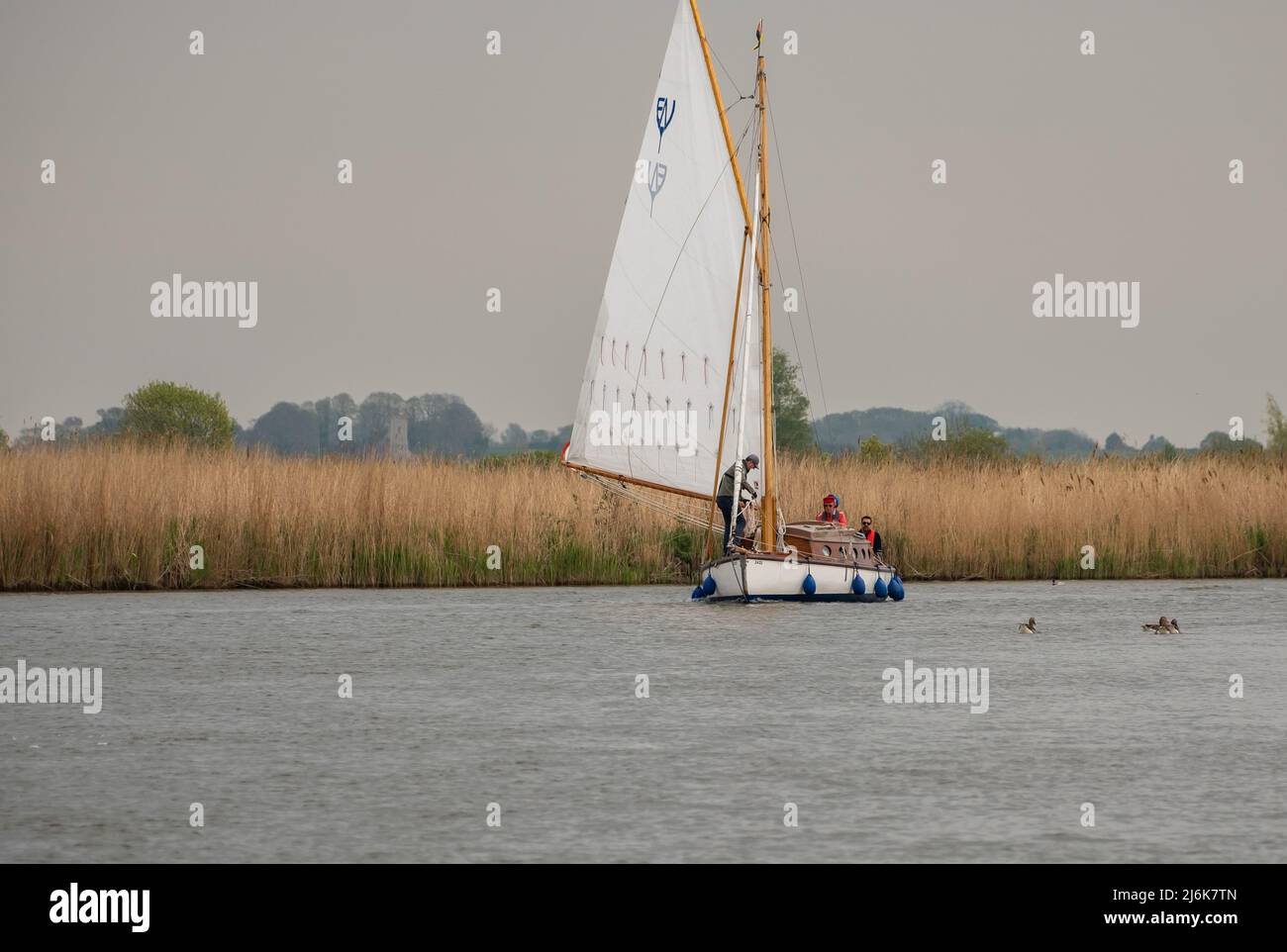 Traditional wooden sailboat sailing along the River Bure, Norfolk ...