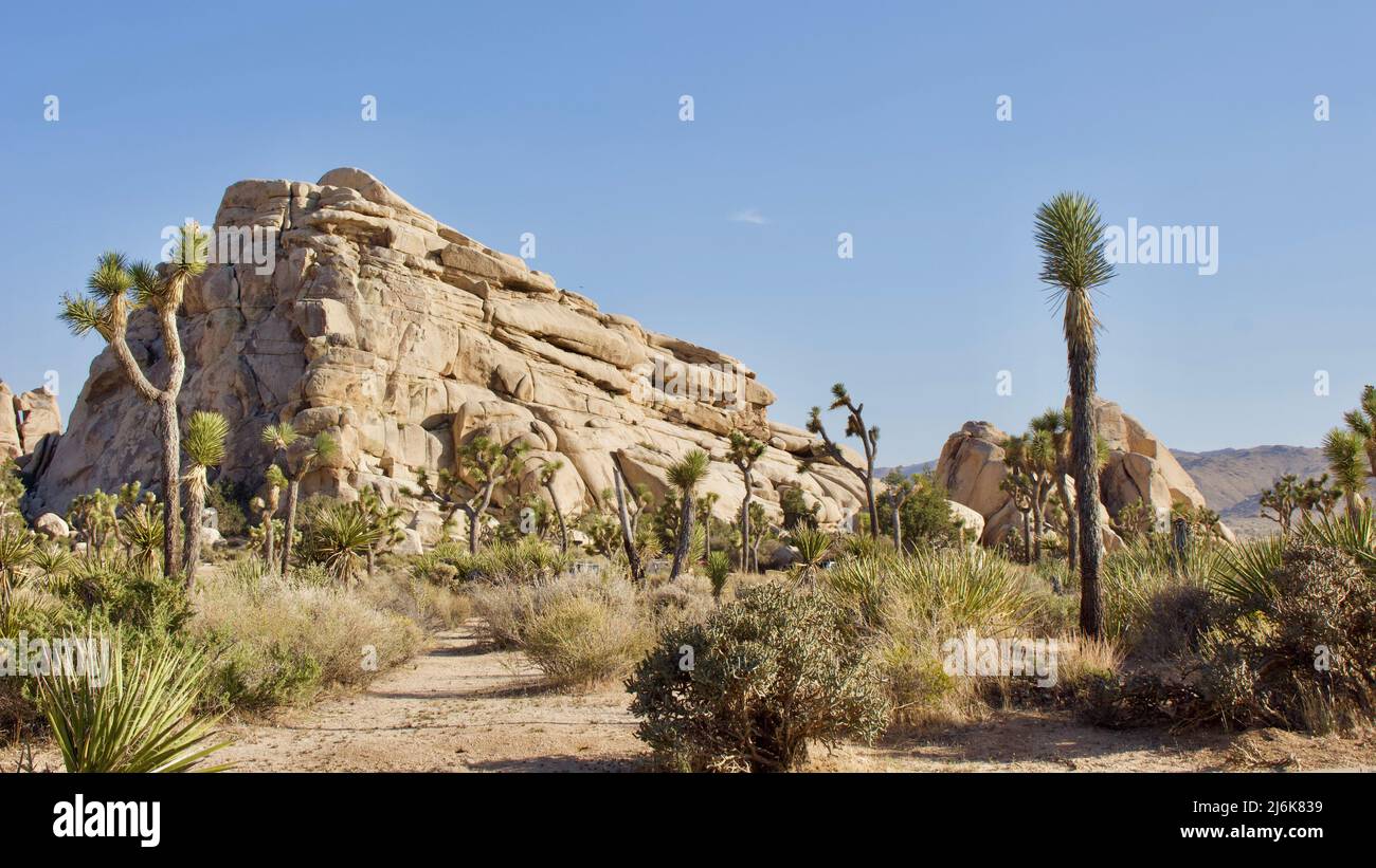 A rocky mountain in Hidden Valley of Joshua Tree National Park is ...