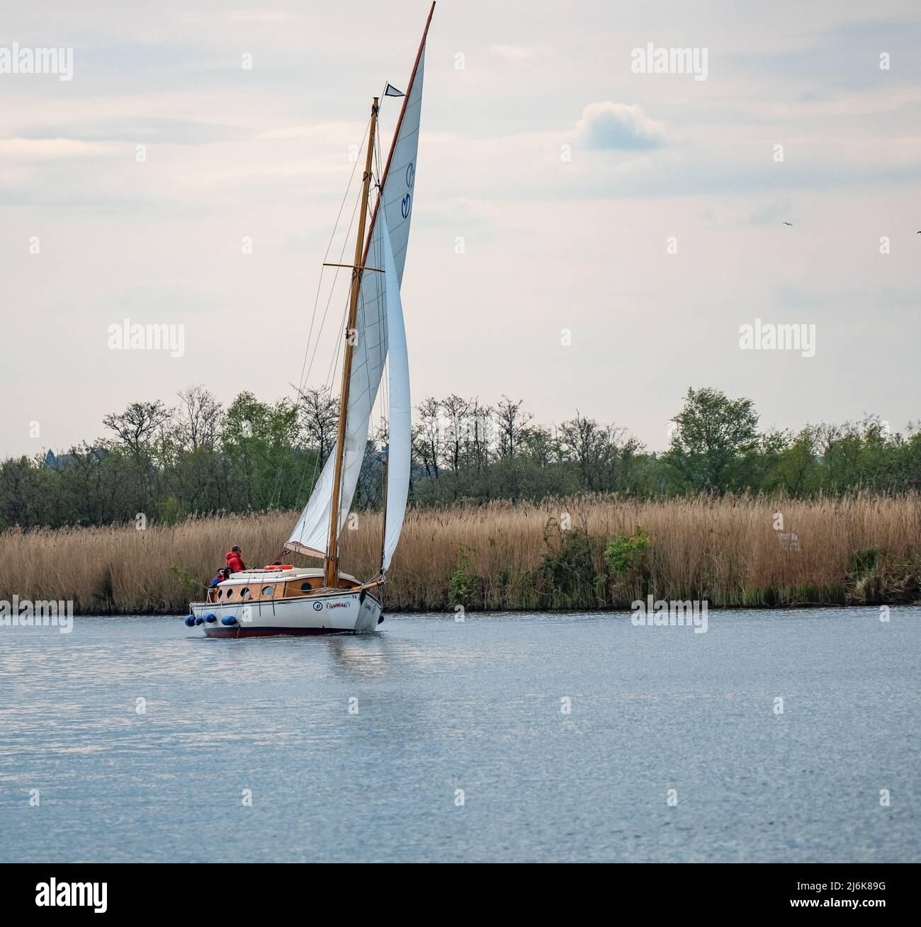 Traditional wooden sailboat sailing along the River Bure, Norfolk ...
