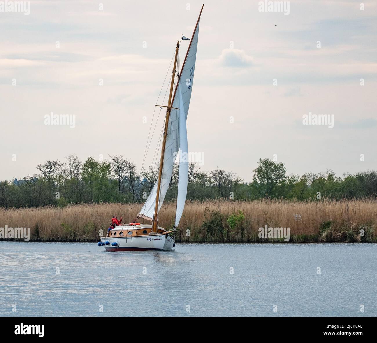 Traditional wooden sailboat sailing along the River Bure, Norfolk ...