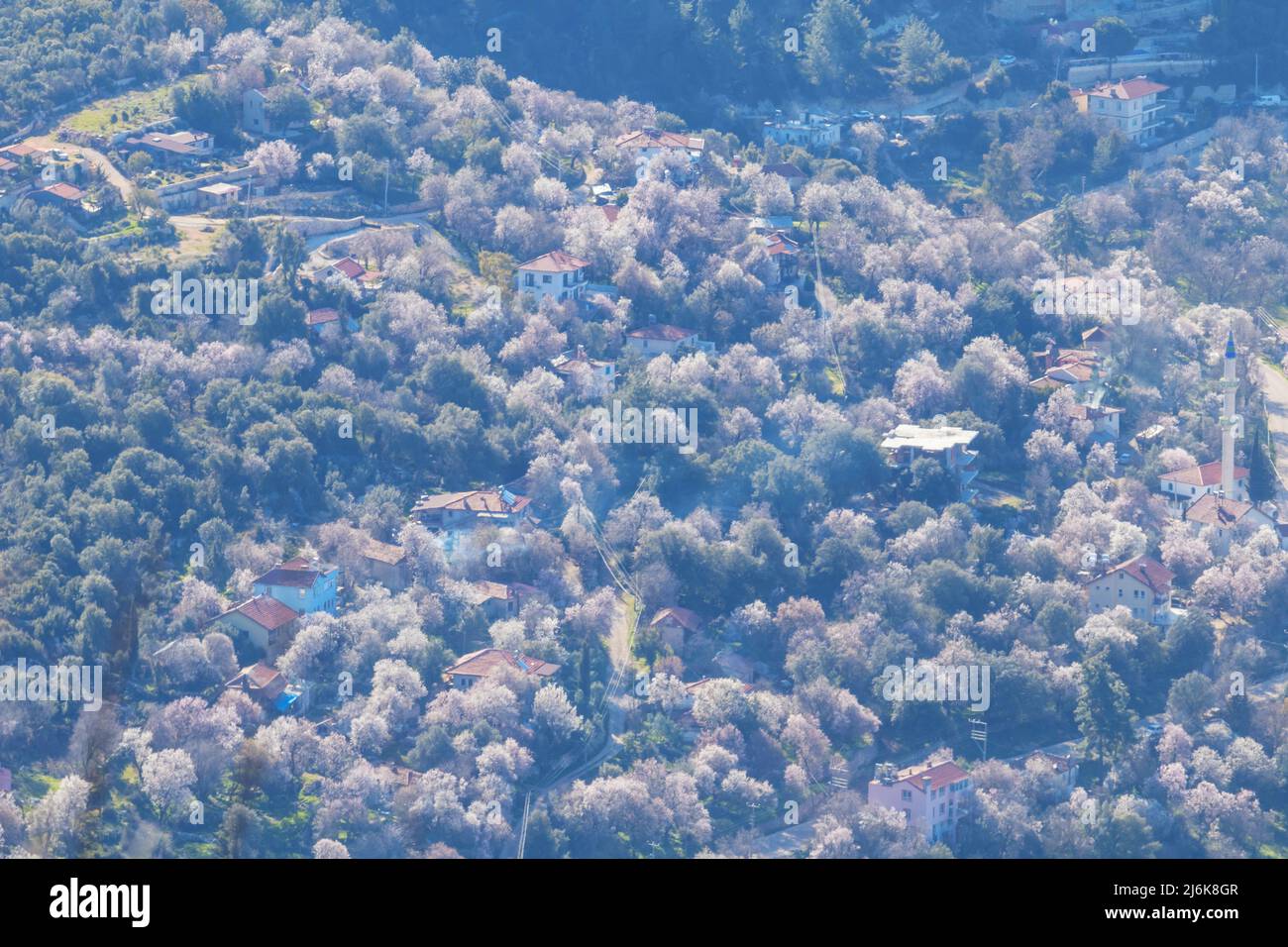 Aerial view almond trees hi-res stock photography and images - Alamy