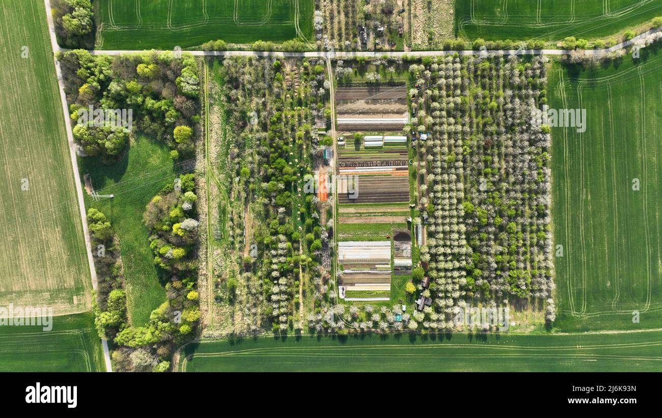 Bio farmer farming and agricultural farm garden fruit tree dron aerial ...