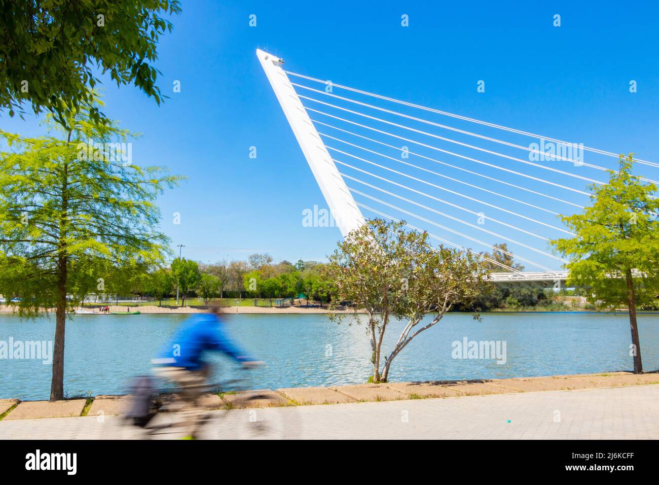 cyclist at speed Puente del Alamillo Alamillo bridge over canal Sevilla ...