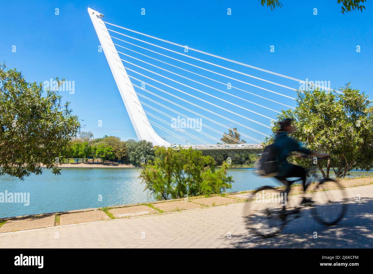 cyclist at speed Puente del Alamillo Alamillo bridge over canal Sevilla ...
