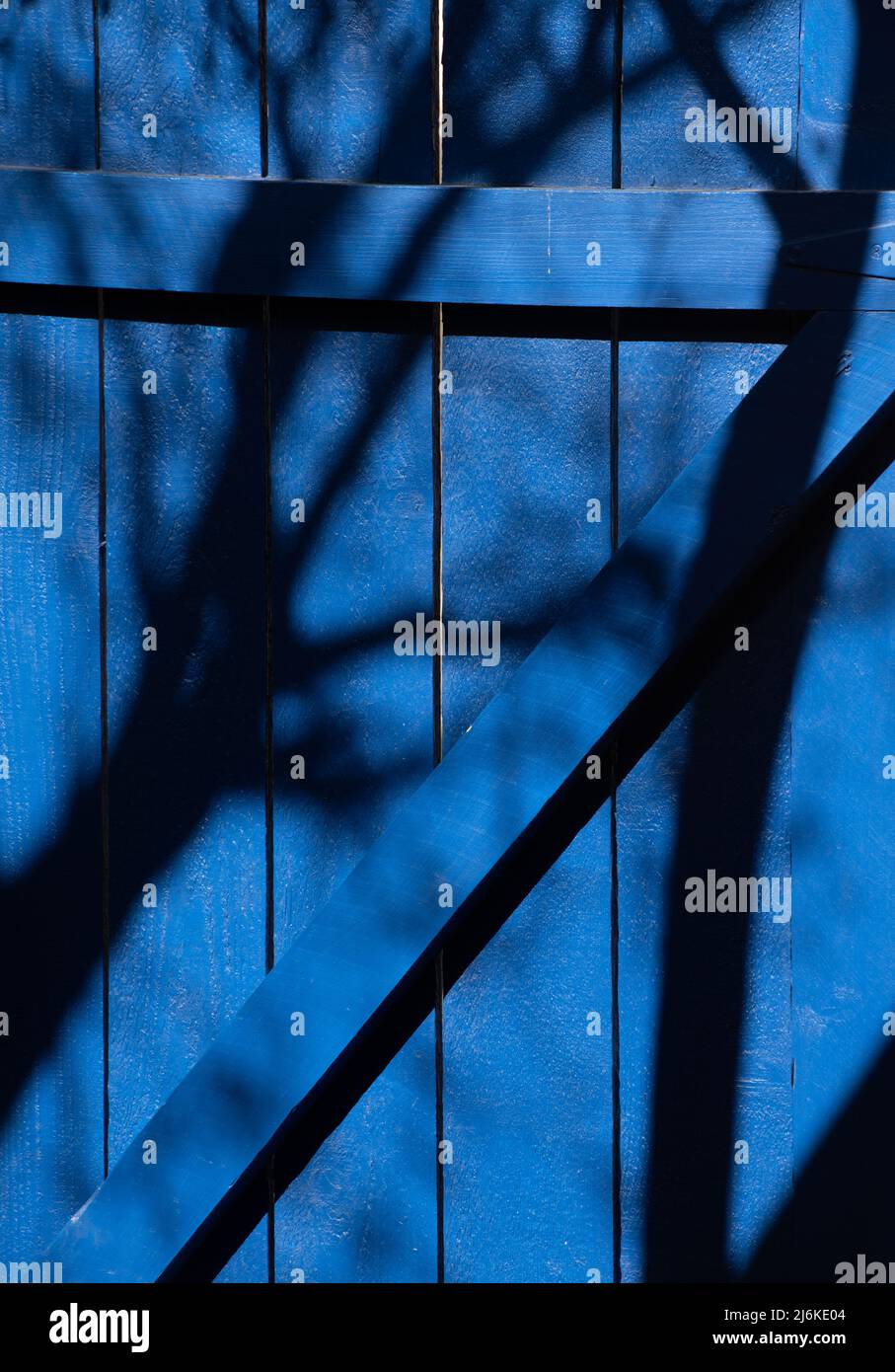 shadows of trees cast onto blue gate or door of home in afternoon light ...