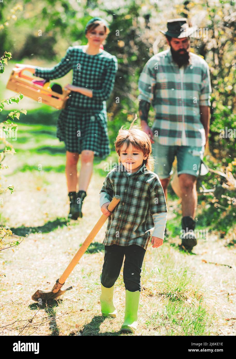 Family planting. Son helper. Family walking in agricultural field. Son ...
