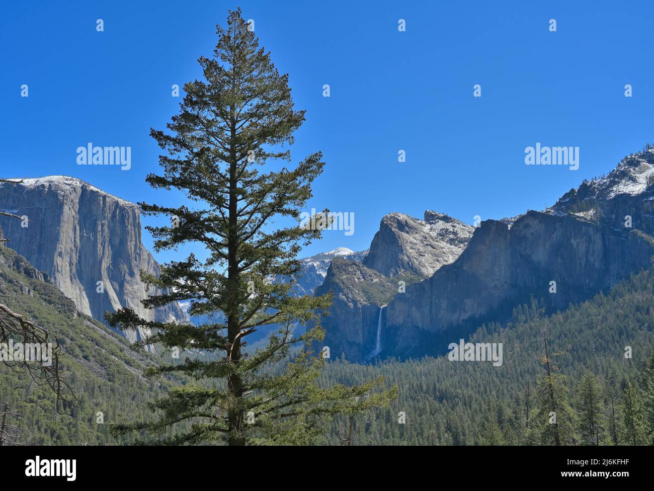 Mariposa 3d hi-res stock photography and images - Alamy