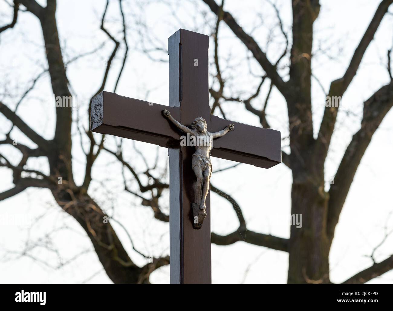 Wooden Christian Cross symbol, tree branches in the background, object ...
