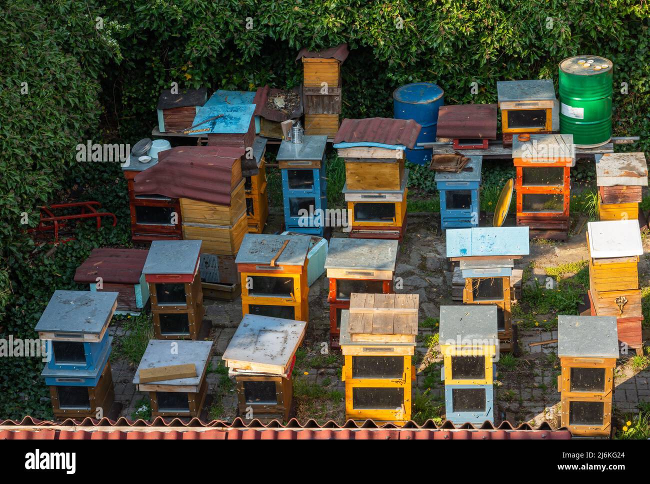 An old apiary in the garden, colorful beehives surrounded by the bushes ...