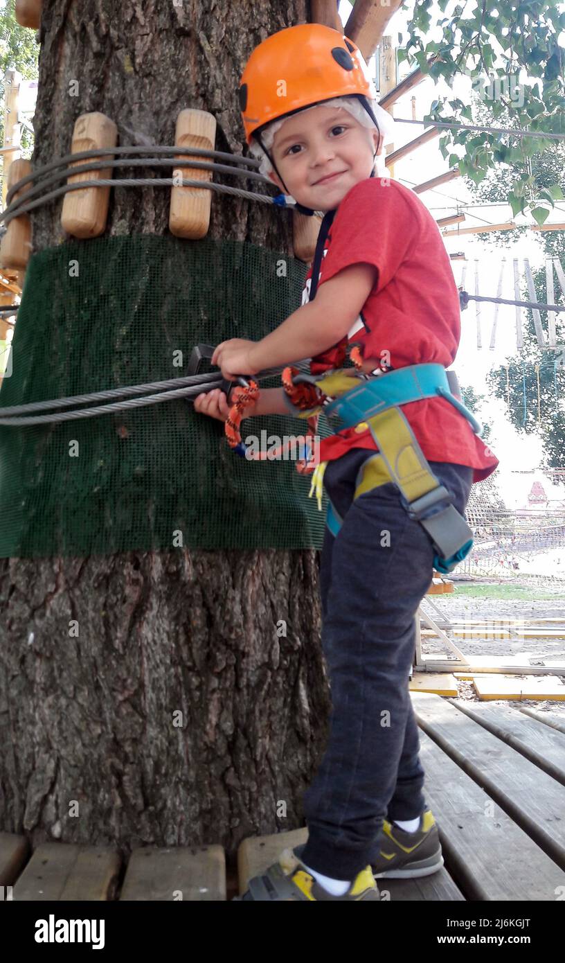 A little boy in an amusement park in a safety harness on a tree ...