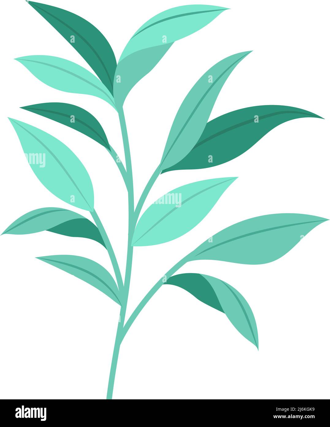 nice green plant Stock Vector Image & Art - Alamy