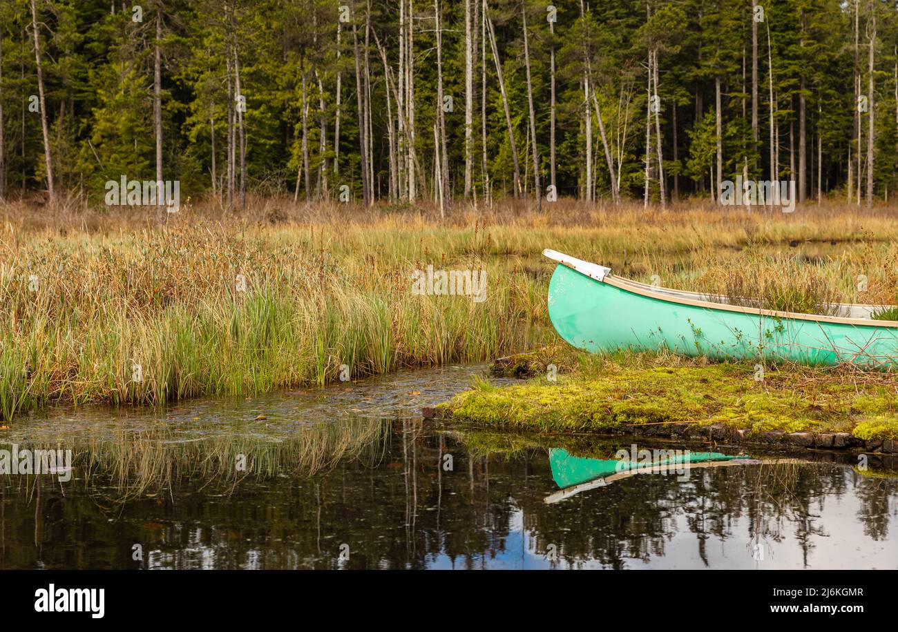 Whonnock lake provincial park hi-res stock photography and images - Alamy