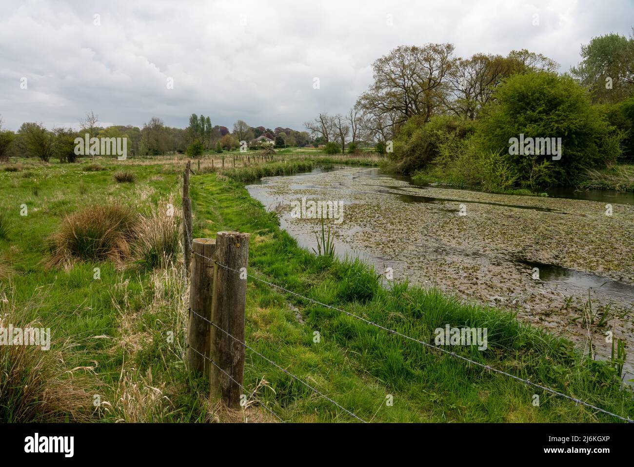 a scenic view of a chalk stream clear river in vibrant spring colour ...