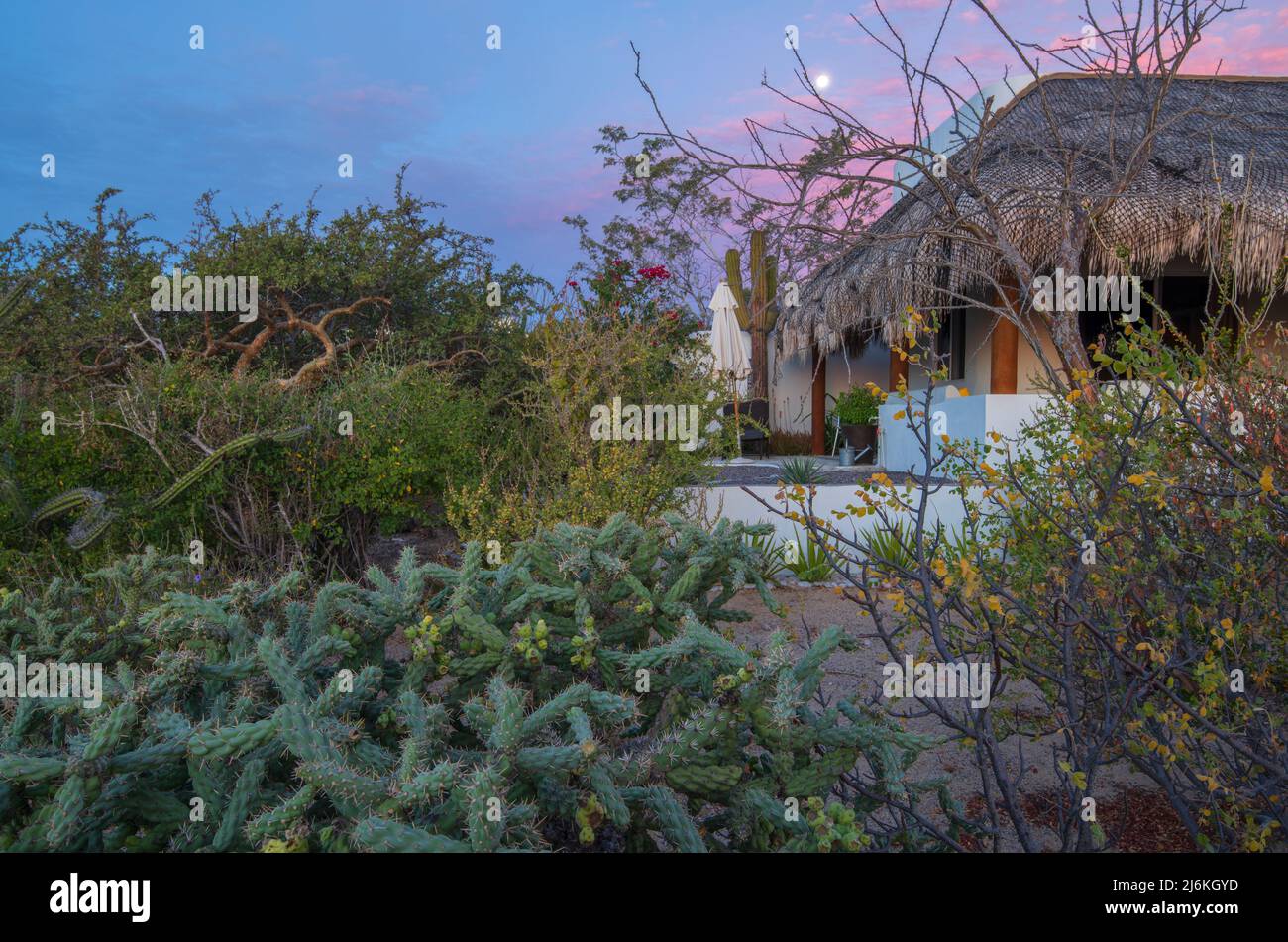 Mexico, Baja California Sur, El Sargento, Rancho Sur Stock Photo - Alamy