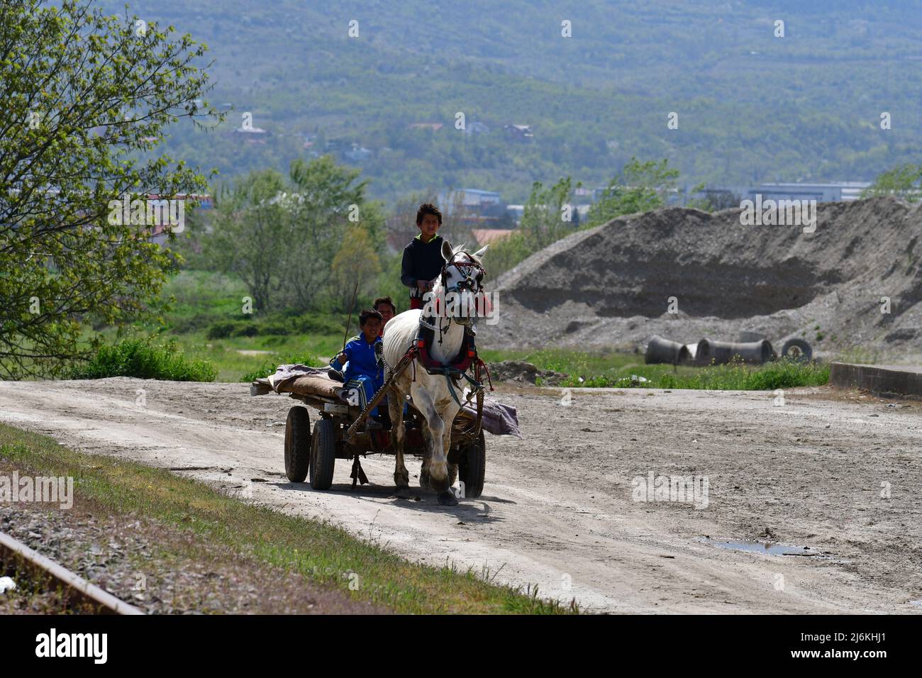 Gypsies (children) in a horse-drawn carriage carry garbage and dump it ...