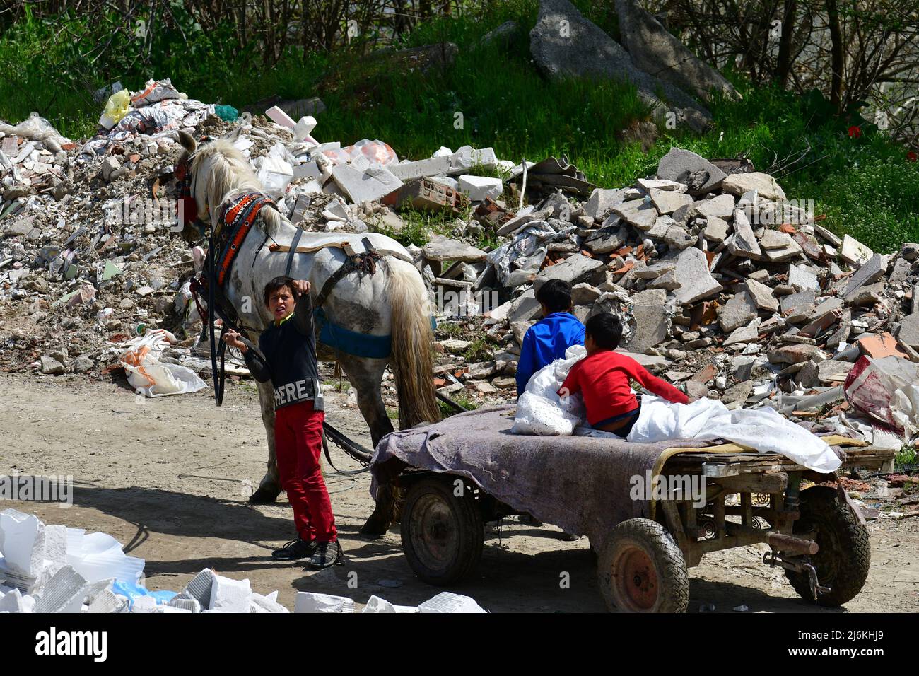 Gypsy horse and cart hi-res stock photography and images - Alamy