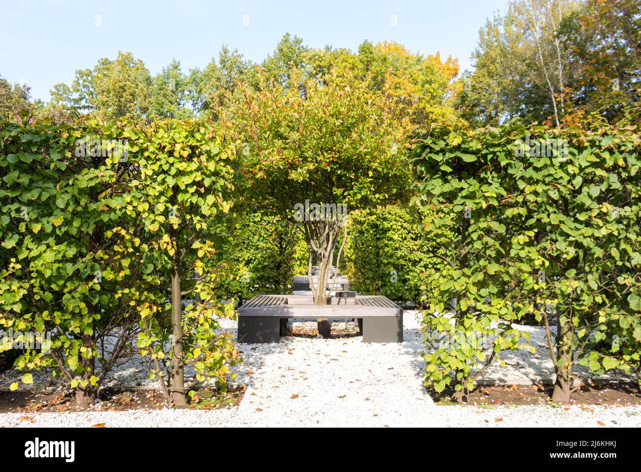 Cockspur thorn tree hi-res stock photography and images - Alamy