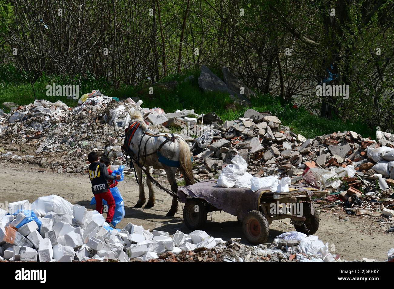 Gypsies (children) in a horse-drawn carriage carry garbage and dump it ...