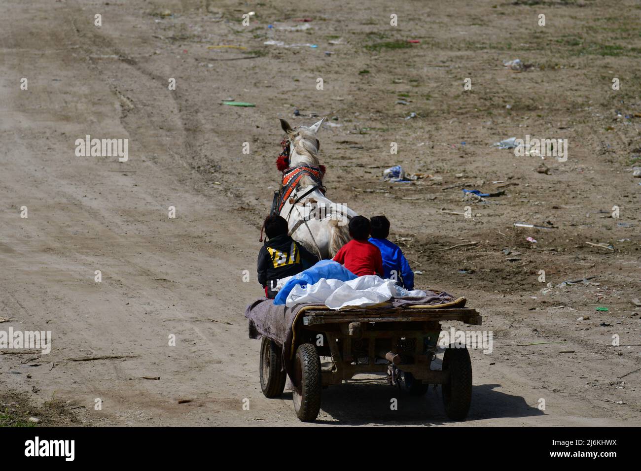 Gypsies (children) in a horse-drawn carriage carry garbage and dump it ...