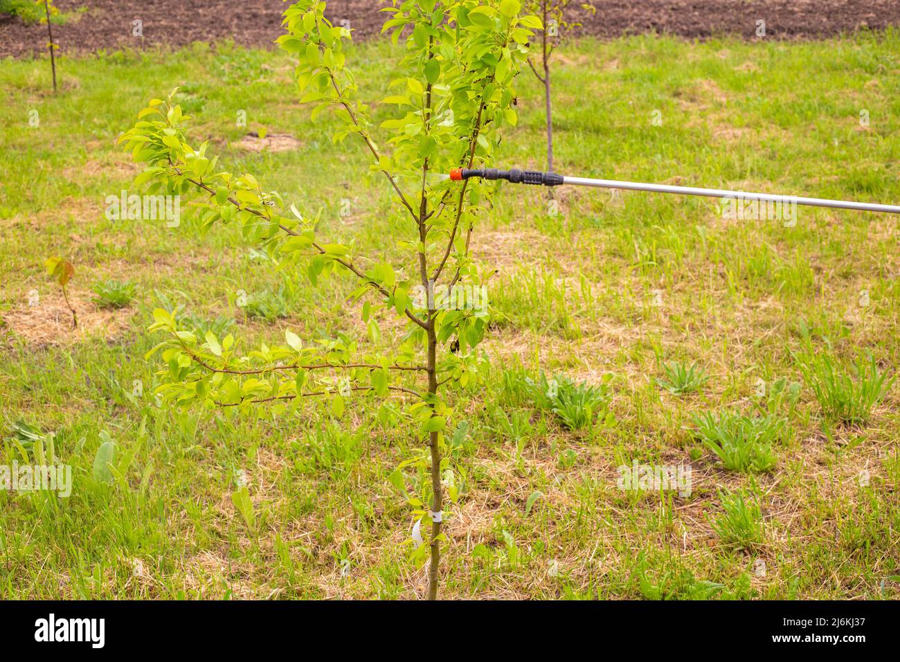 Orchard sprayer hi-res stock photography and images - Alamy