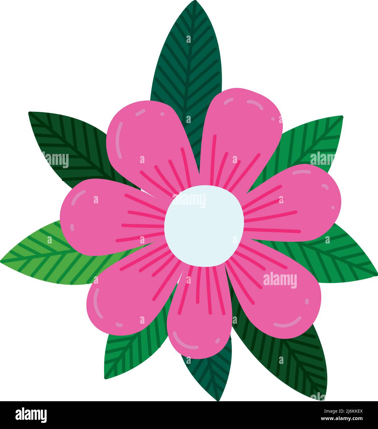 pink flower design Stock Vector Image & Art - Alamy