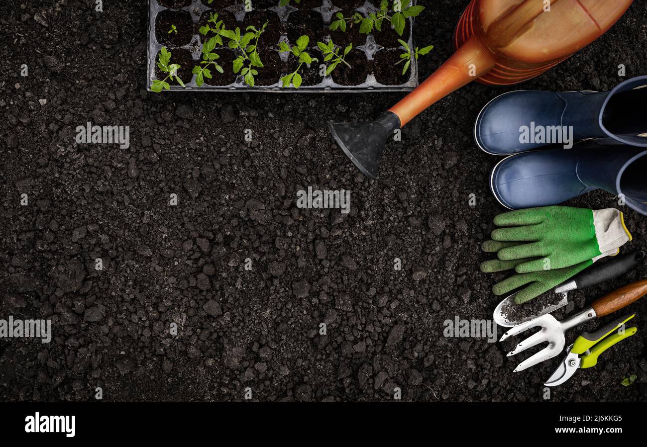 Tools for gardening. Top view on the ground Stock Photo - Alamy