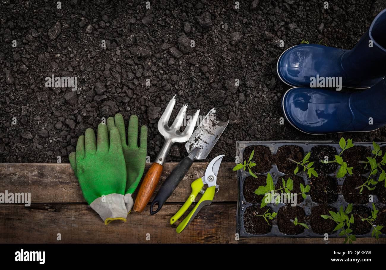 Tools for gardening. Top view on the ground Stock Photo - Alamy