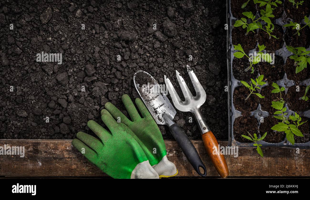 Tools for gardening. Top view on the ground Stock Photo - Alamy