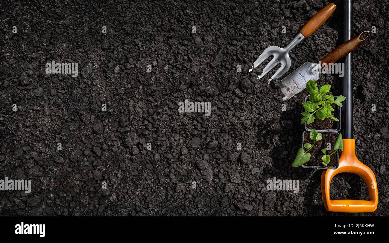 Tools for gardening. Top view on the ground Stock Photo - Alamy