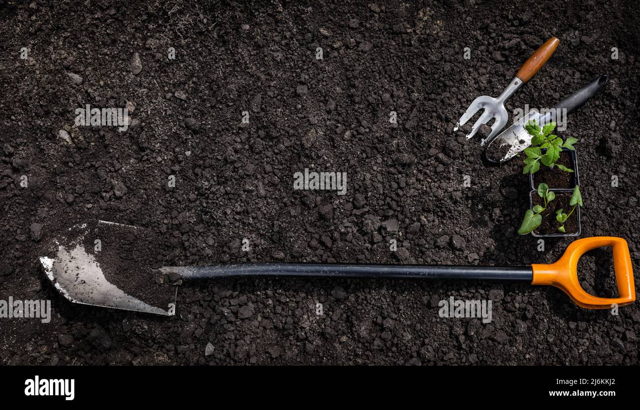 Tools for gardening. Top view on the ground Stock Photo - Alamy