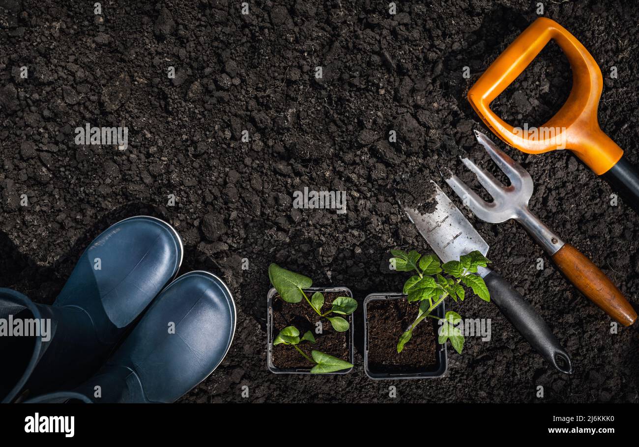 Tools for gardening. Top view on the ground Stock Photo - Alamy
