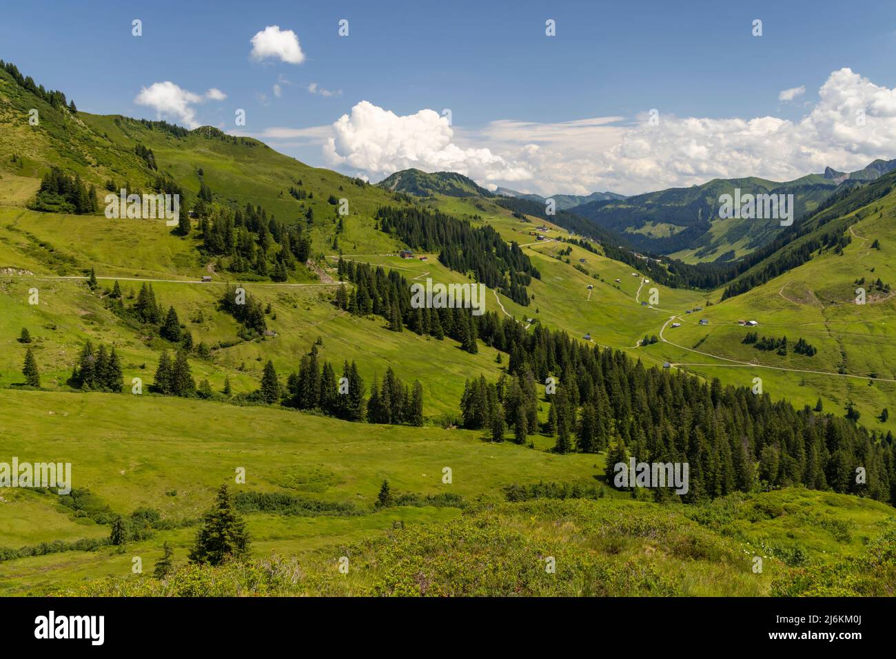 Typical alpine landscape in early summer near Damuls, Vorarlberg ...