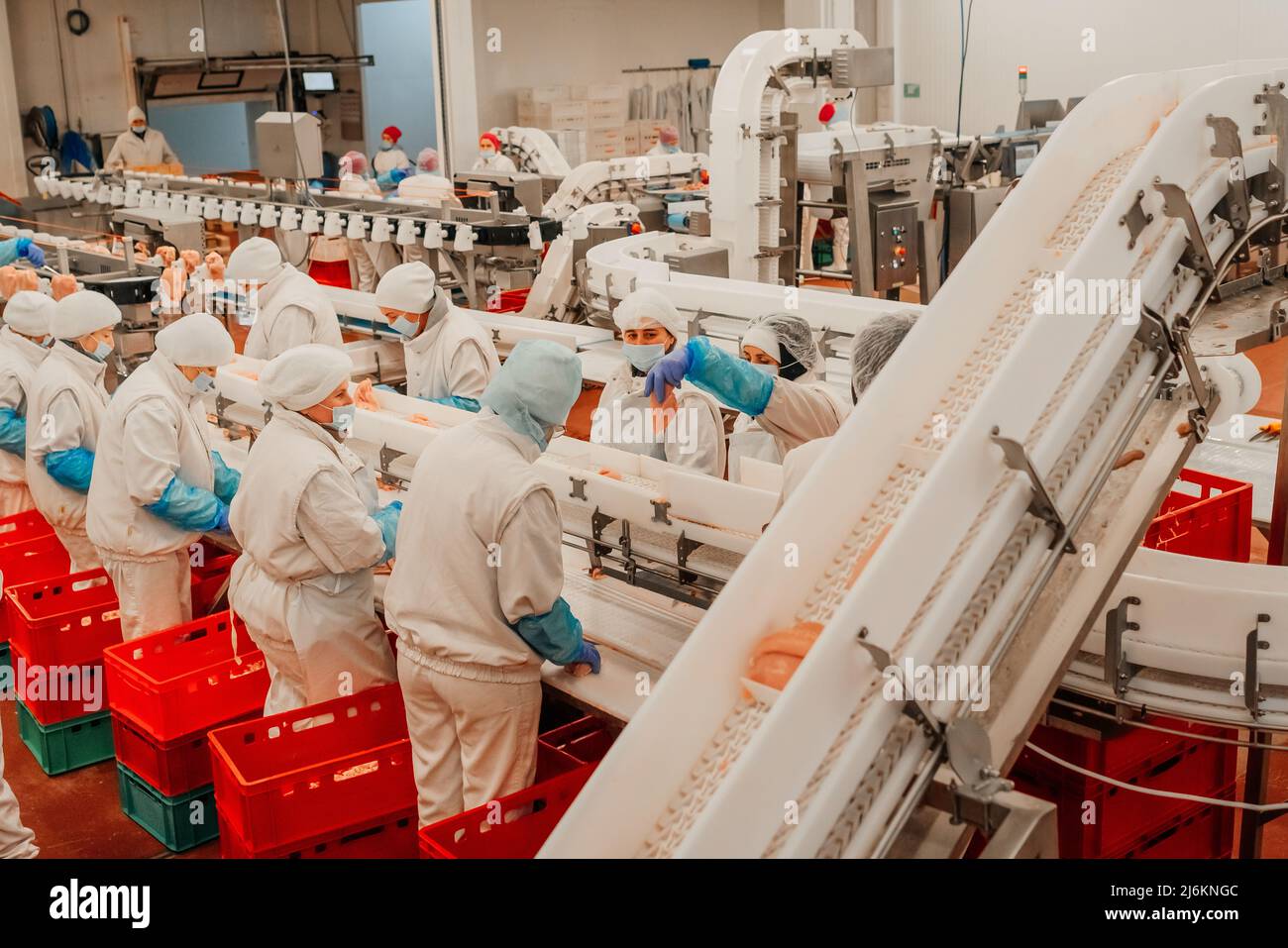 Modern poultry processing plant.Factory for the production of food from ...